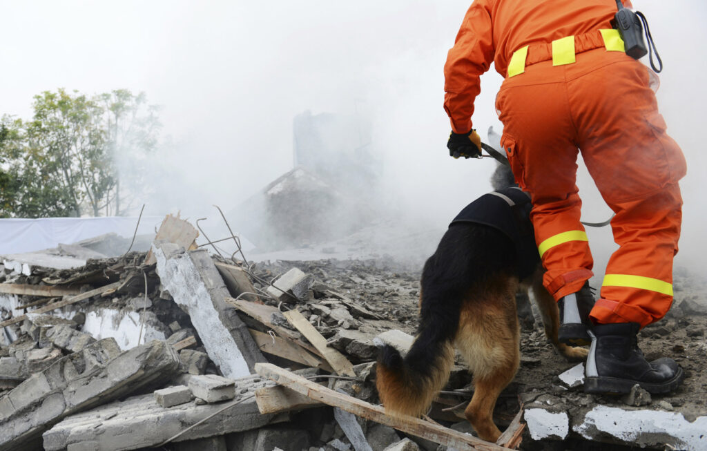 Emergency / Disaster Management - SCS Tech India